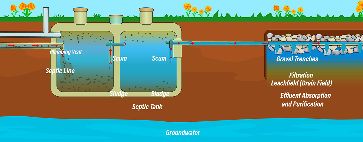 Maintaining Your Septic System » Department of Public Works