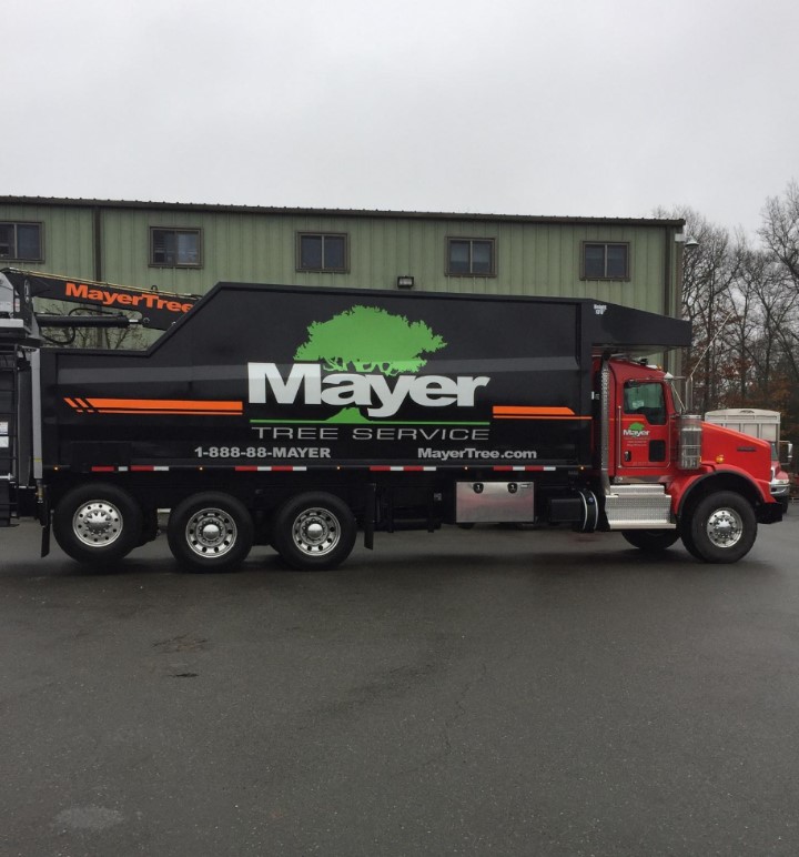 Storm Debris Pickup » Town Manager