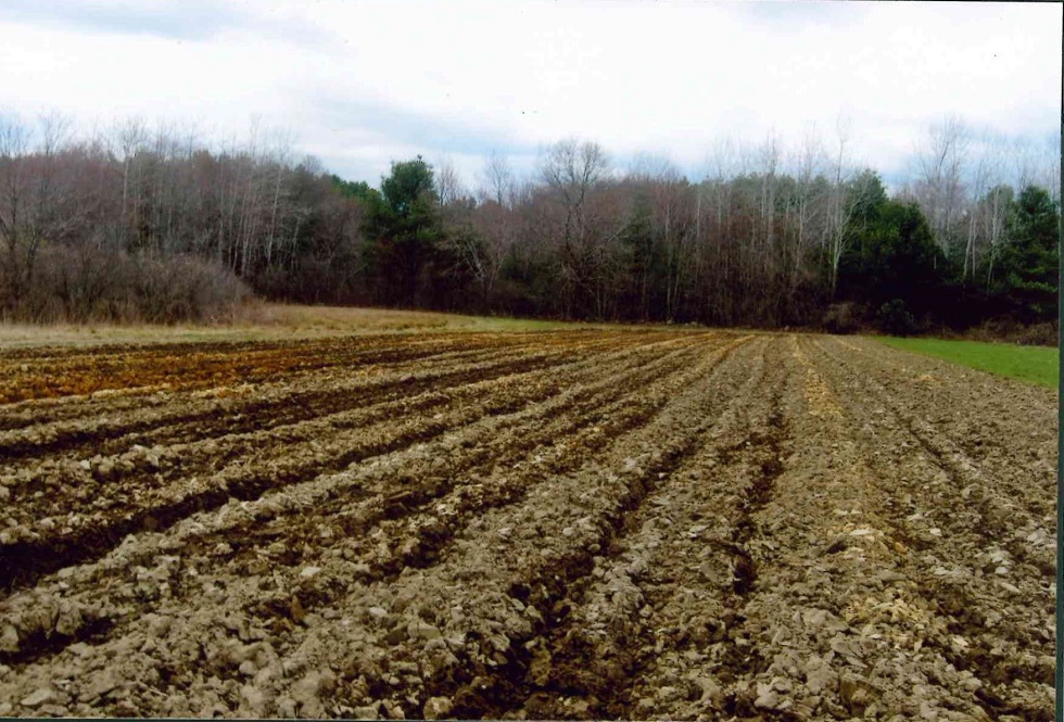 Barton Farm Conservation Land » Sudbury